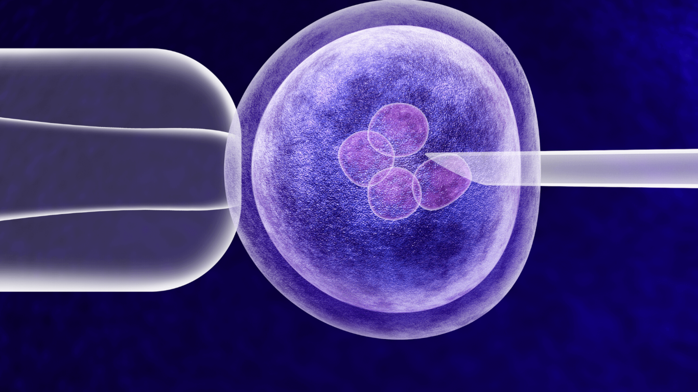 Top IVF Fertility Clinic in San Diego, California | Fertility Institute ...