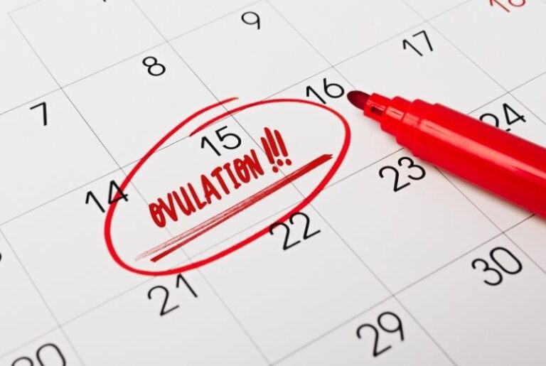 Ovulation Induction: What to Expect During Treatment