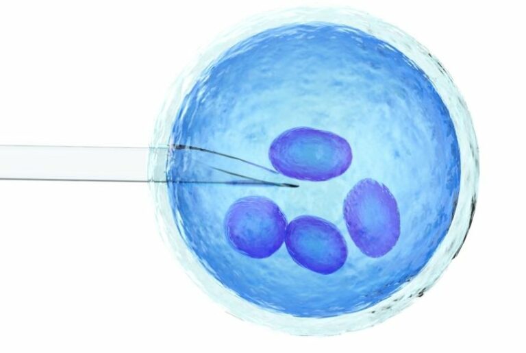 How Many Eggs Are Retrieved in Mini-Stim IVF?